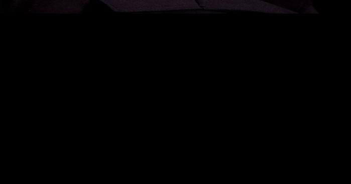 Kimberly Jane (Brion) Purviance