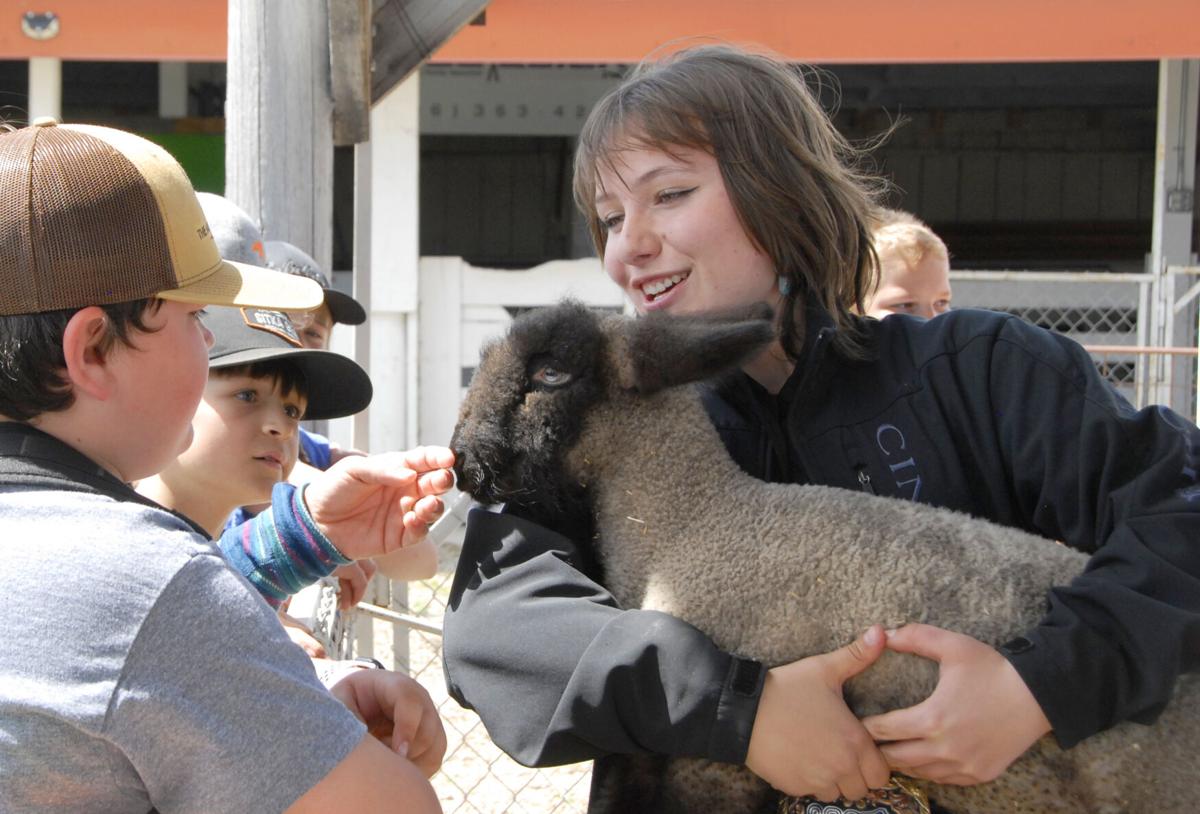 Bitterroot Valley Fourth Grade Farm Fair in photos