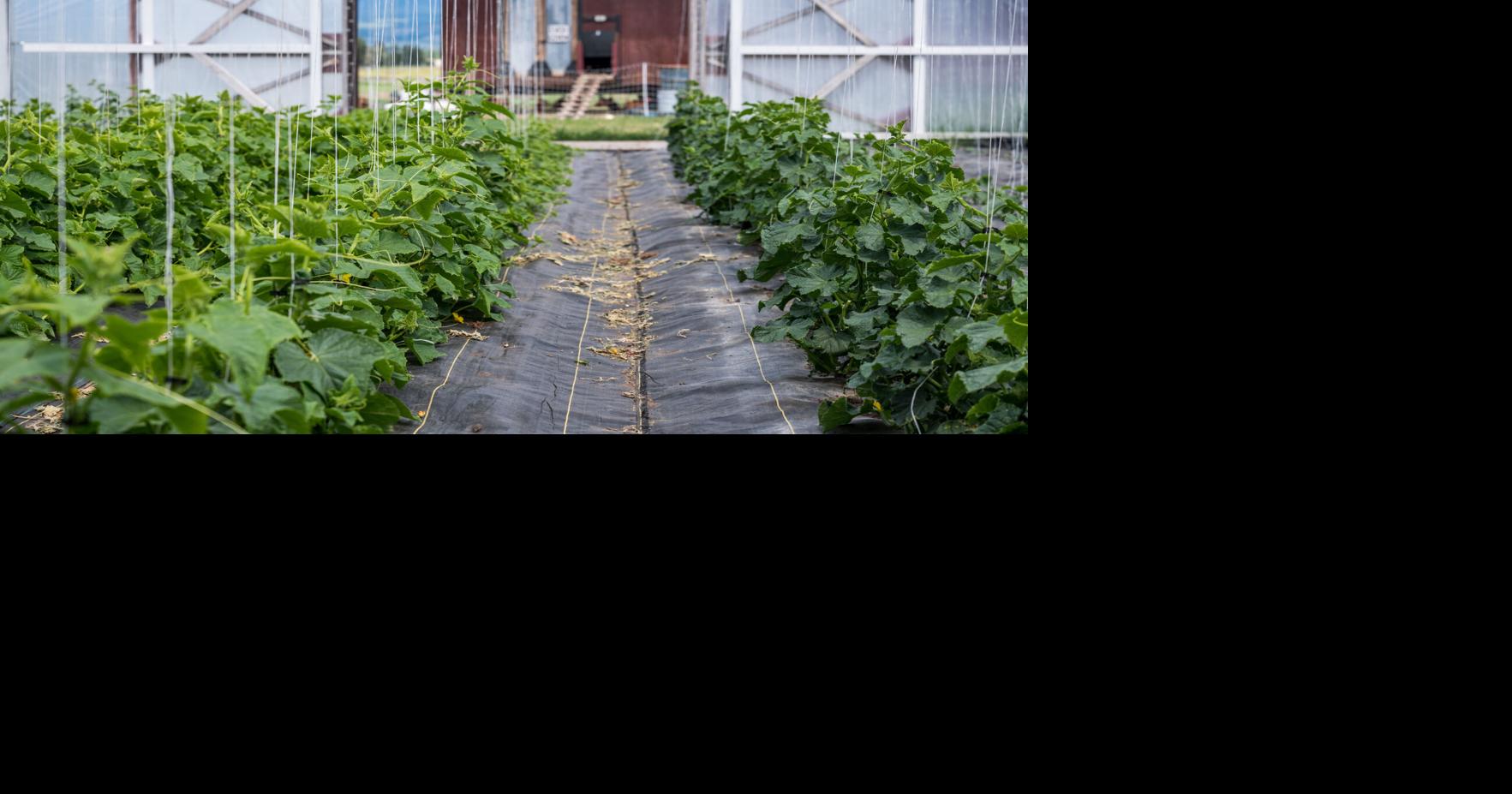 Bitterroot Farm tour bike ride set for June 14