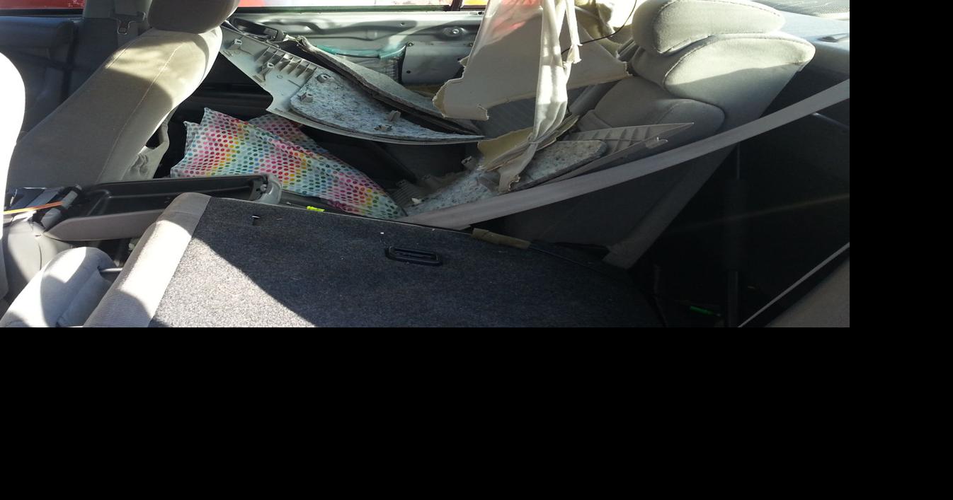 Bear destroys car after getting trapped inside looking for food
