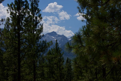 Bitterroot Forest’s travel plan gets mixed reviews