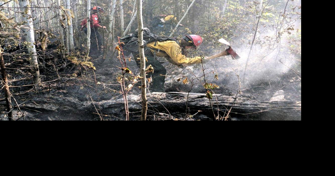 Bitterroot Hotshots face down unusual fire behavior and bears in Alberta