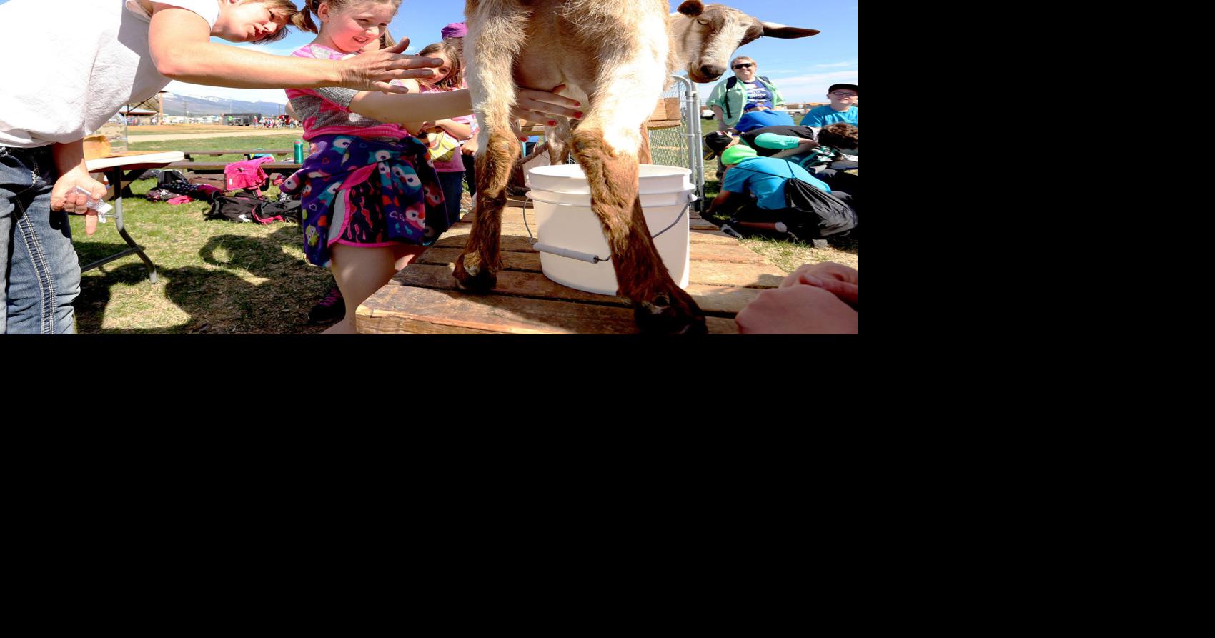 Annual Farm Fair celebrates 25th anniversary with reunion