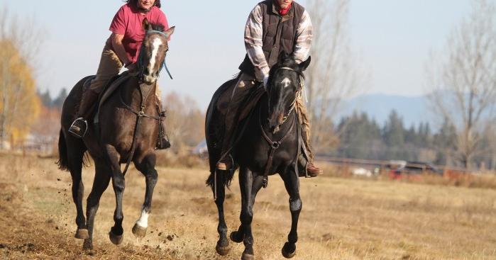 Off to the races: Victor horse trainer prepares thoroughbreds for racing