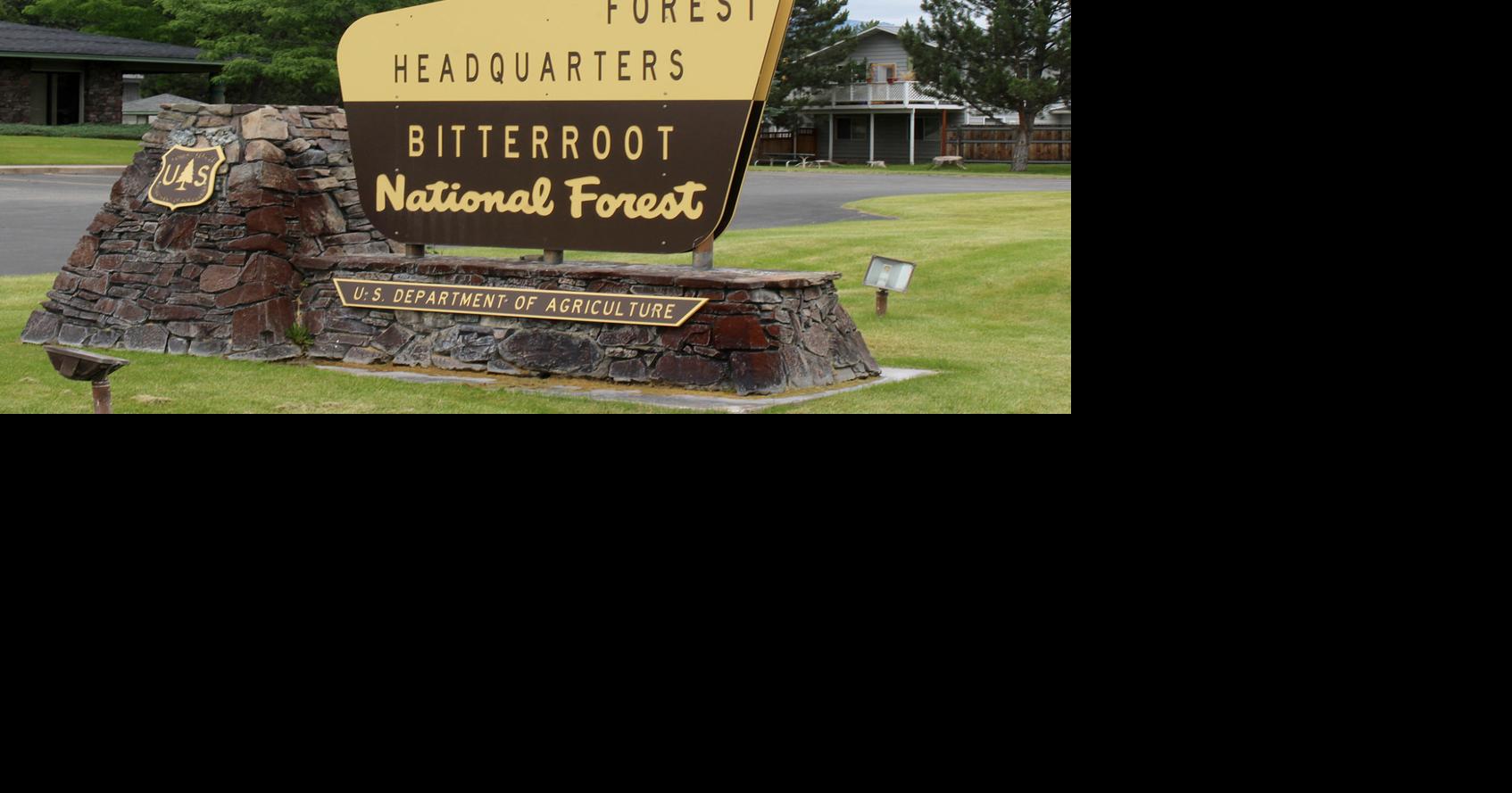 Bitterroot National Forest enlisting local youth for summer jobs with ...