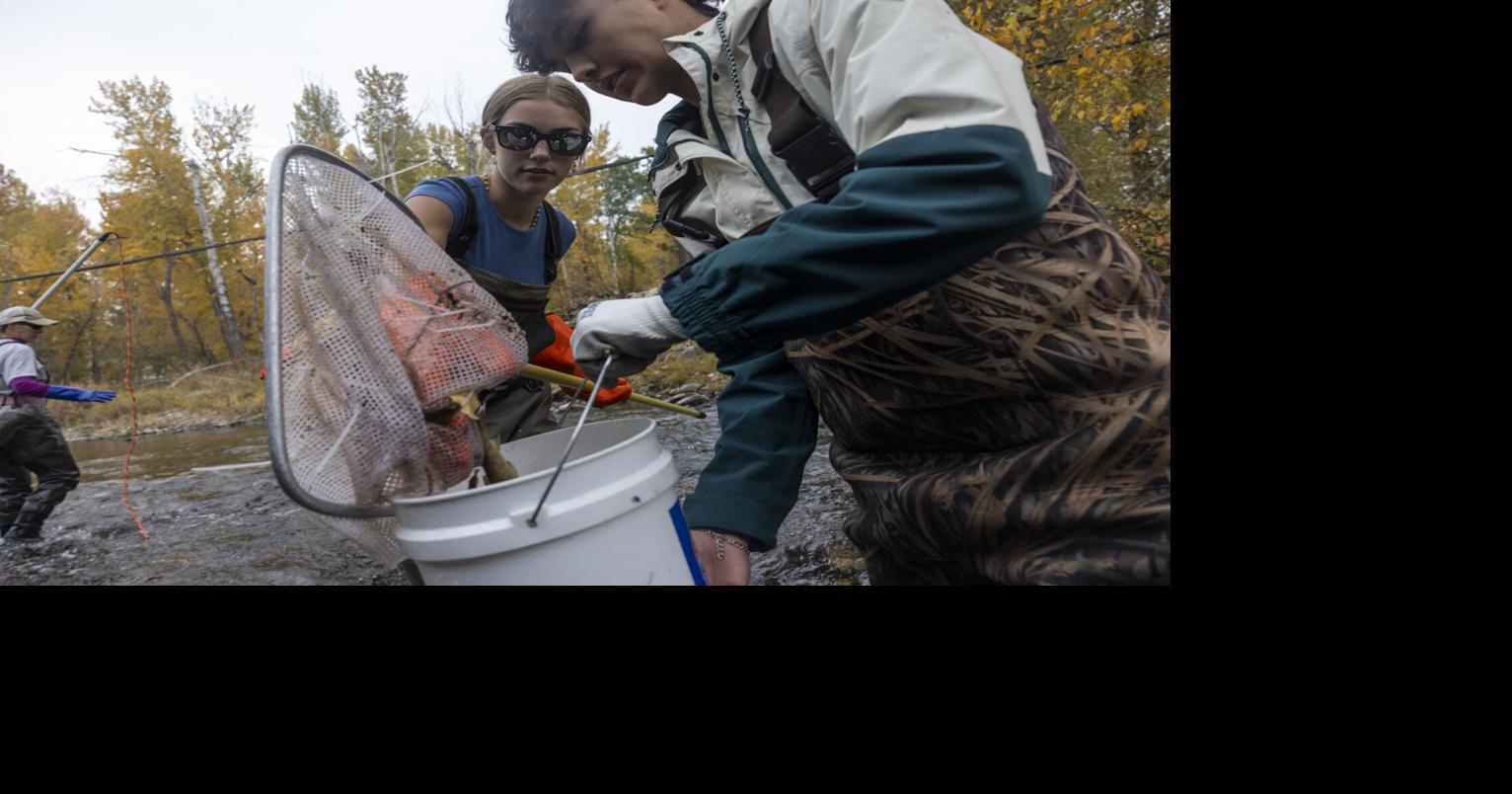Hamilton class without walls help with fish population count