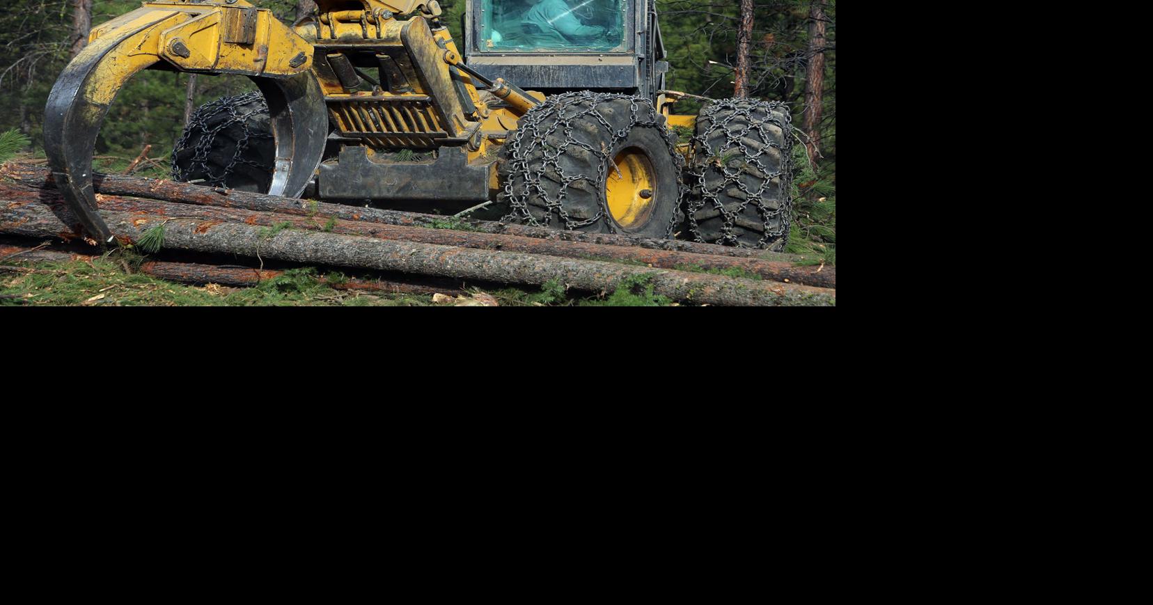 Bitterroot Forest’s largest project in recent memory takes major step ...