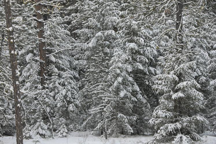 bitterroot range weather