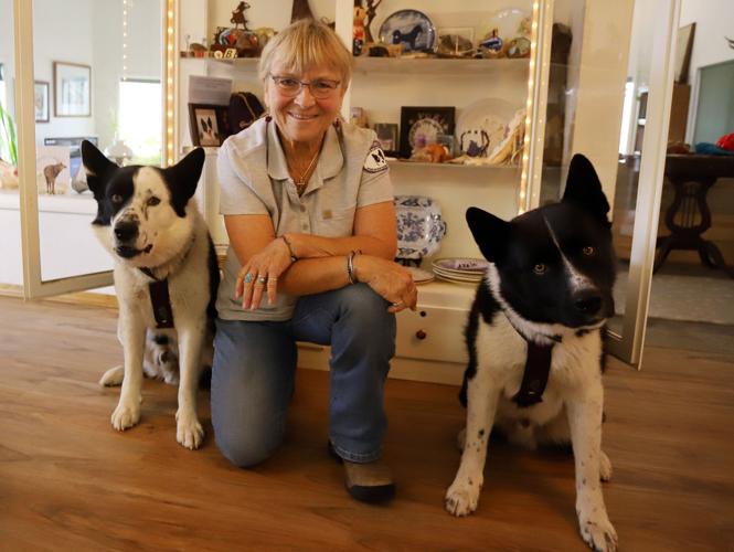 Bear shepherds: Carrie Hunt's dogs train bears to steer clear of people