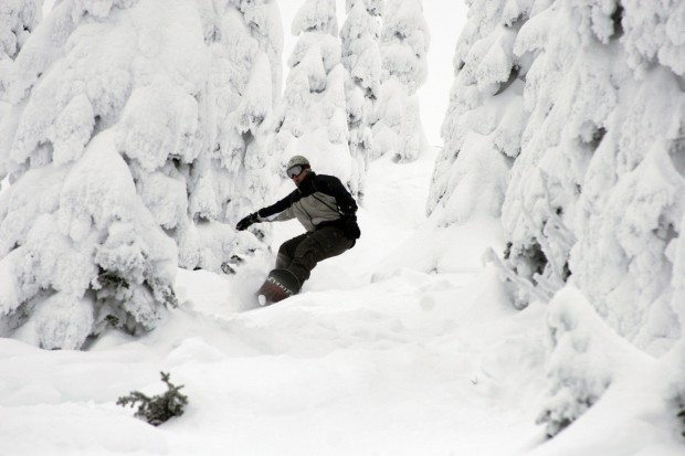Deep snow danger: Tree wells present hazard for skiers and snowboarders ...