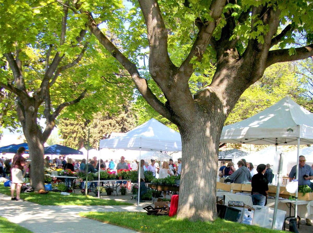 The Hamilton Farmers Market opens Saturday