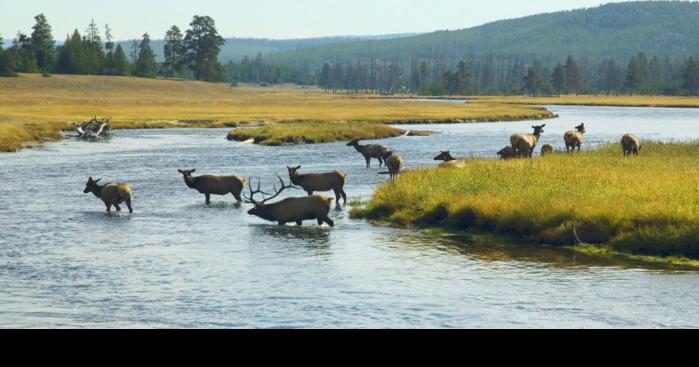 Photographer’s presentation to benefit Bitterroot College