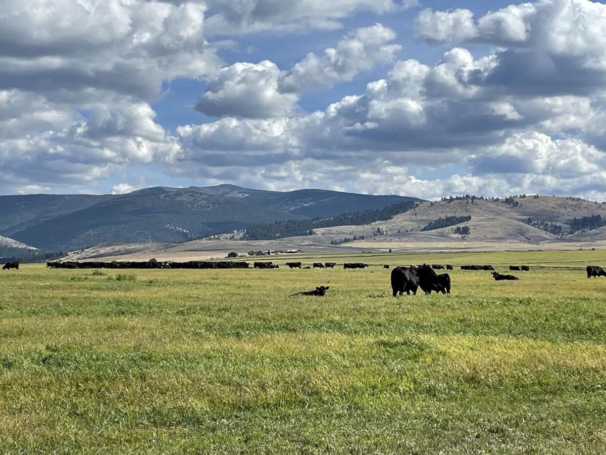 Open Lands Program up for renewal Nov 8.