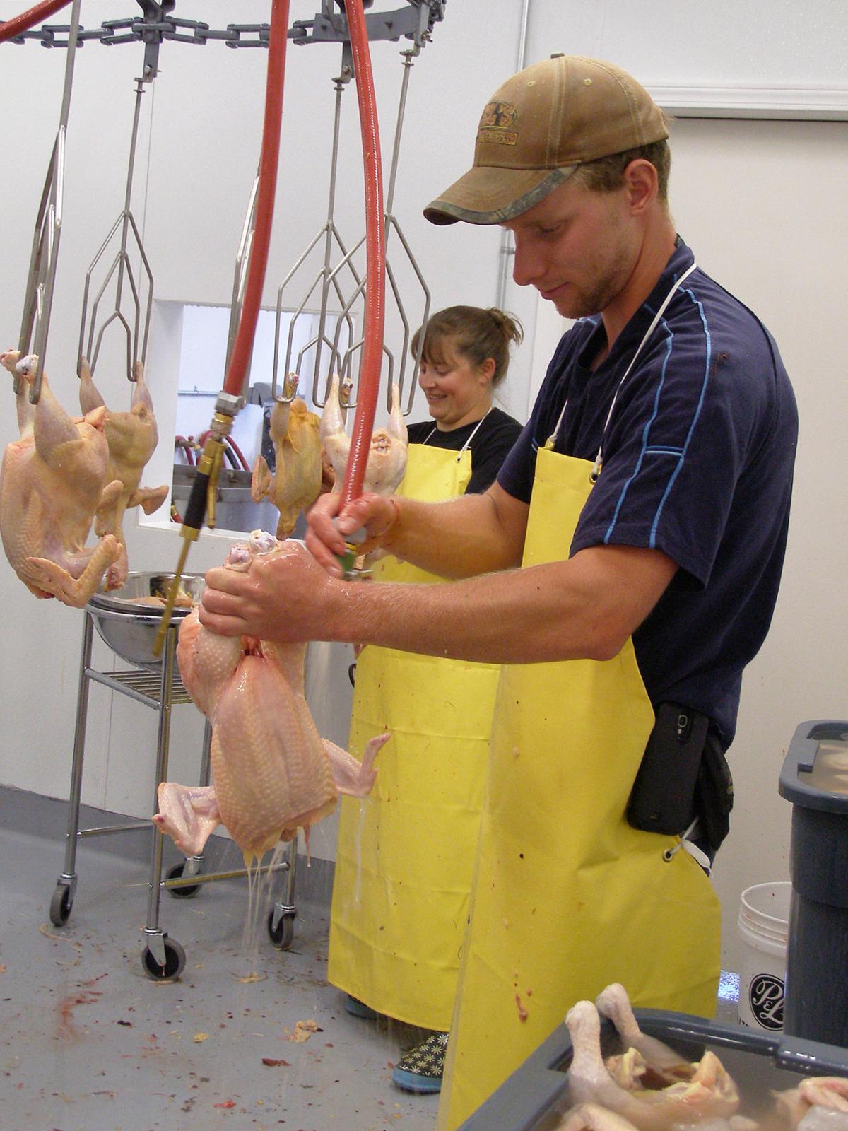 Homestead Organics Farm begins limited processing of poultry | Local ...