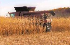 Compare U.S., Brazil corn costs
