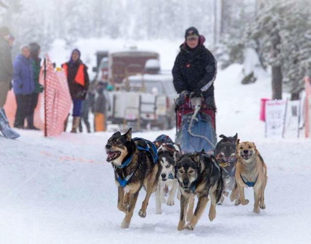 Darby Dog Derby set for Jan. 19, 20 at Lost Trail Pass