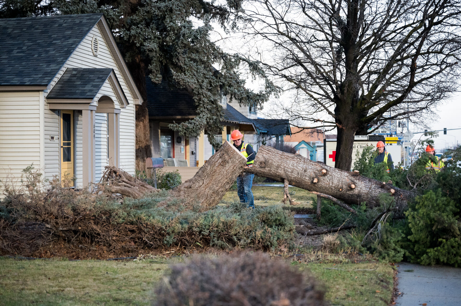 Storm brings down trees, causes damage in Bitterroot