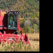 From the Fields: LeeAnne Bulman with Kaleb Ellis
