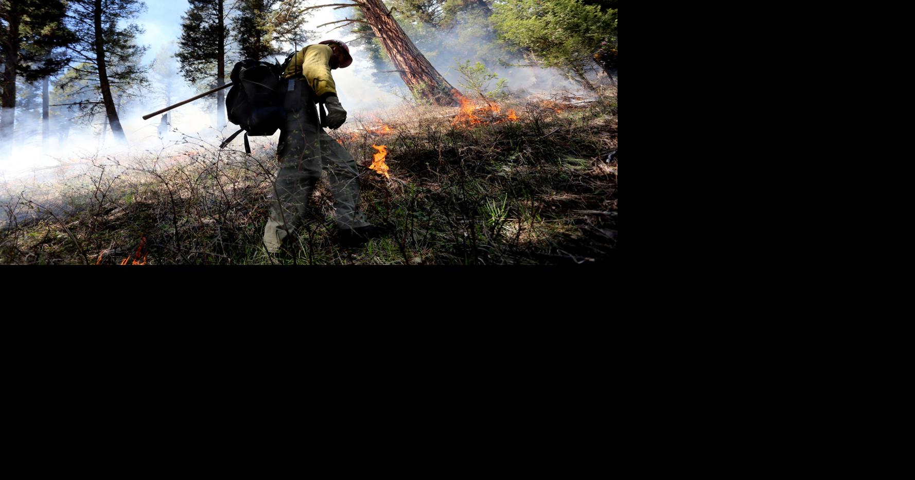 Bitterroot Forest burns over 2,200 acres in prescribed fires