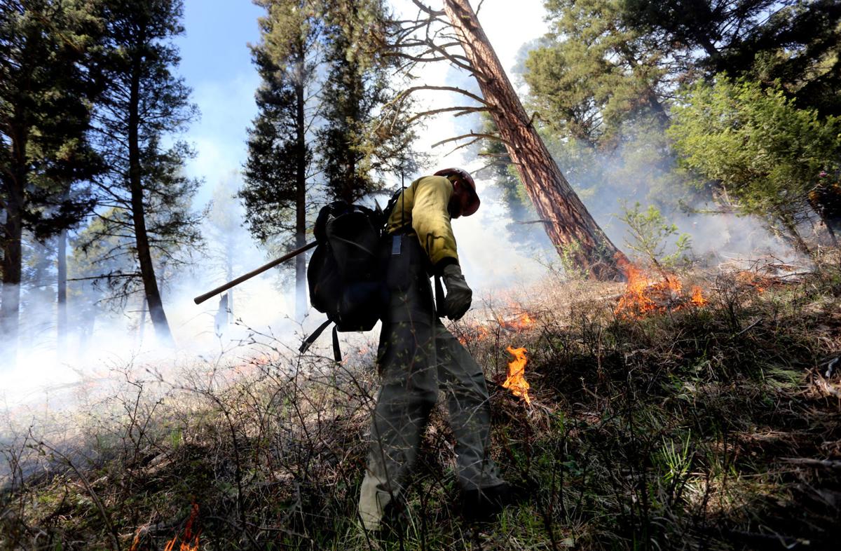 Bitterroot Forest burns over 2,200 acres in prescribed fires | Local ...