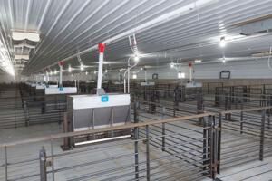 Made to last: Producers update hog buildings with new tech