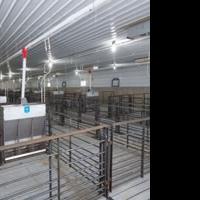 Made to last: Producers update hog buildings with new tech