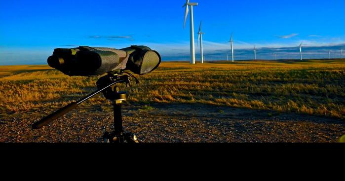 New technology helps protect raptors from wind turbines
