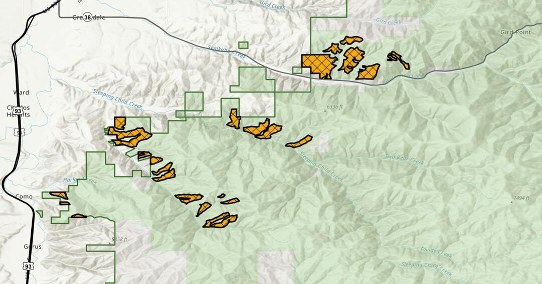 Forest planning aerial spraying for invasive weeds