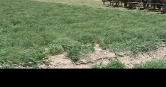 Grazing seminar with researcher, rancher Jim Gerrish to be offered