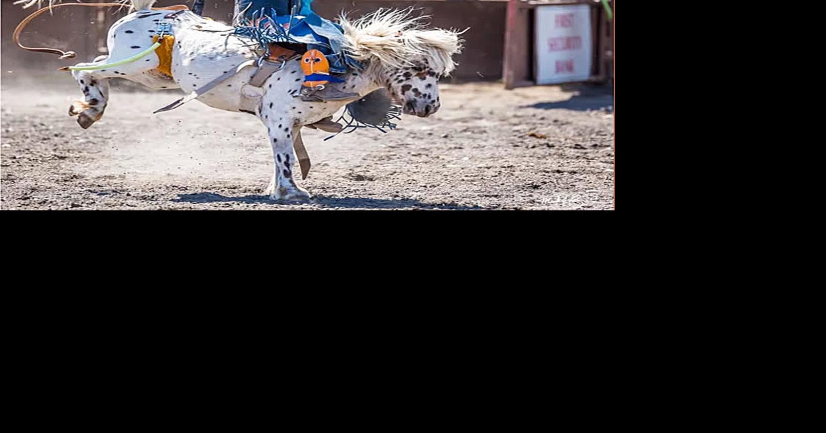 406 Rodeo in Darby this weekend