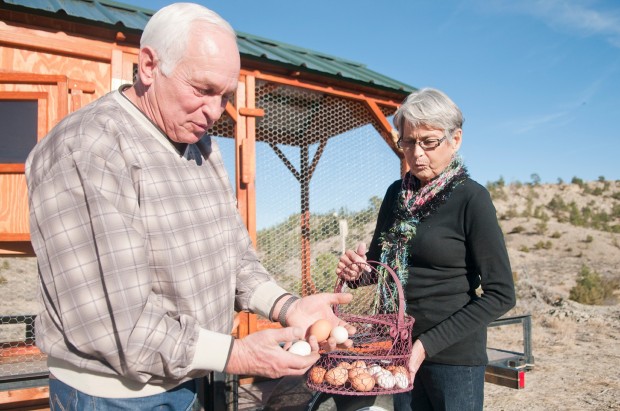 With backyard chickens now legal in Billings, builder busy constructing ...