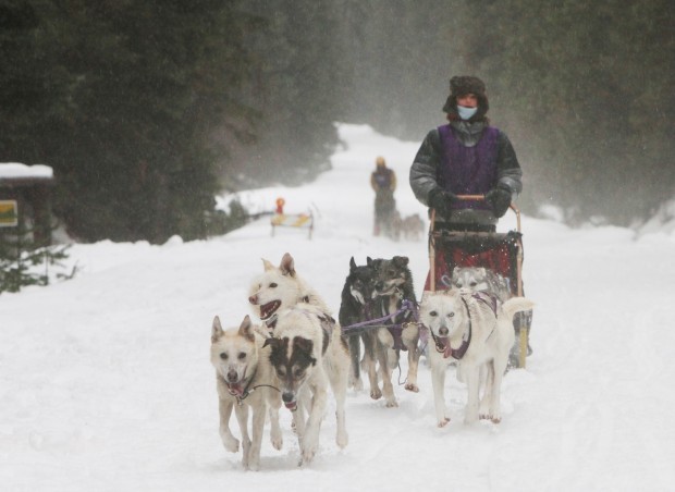 Darby Dog Derby to be held at Lost Trail Pass