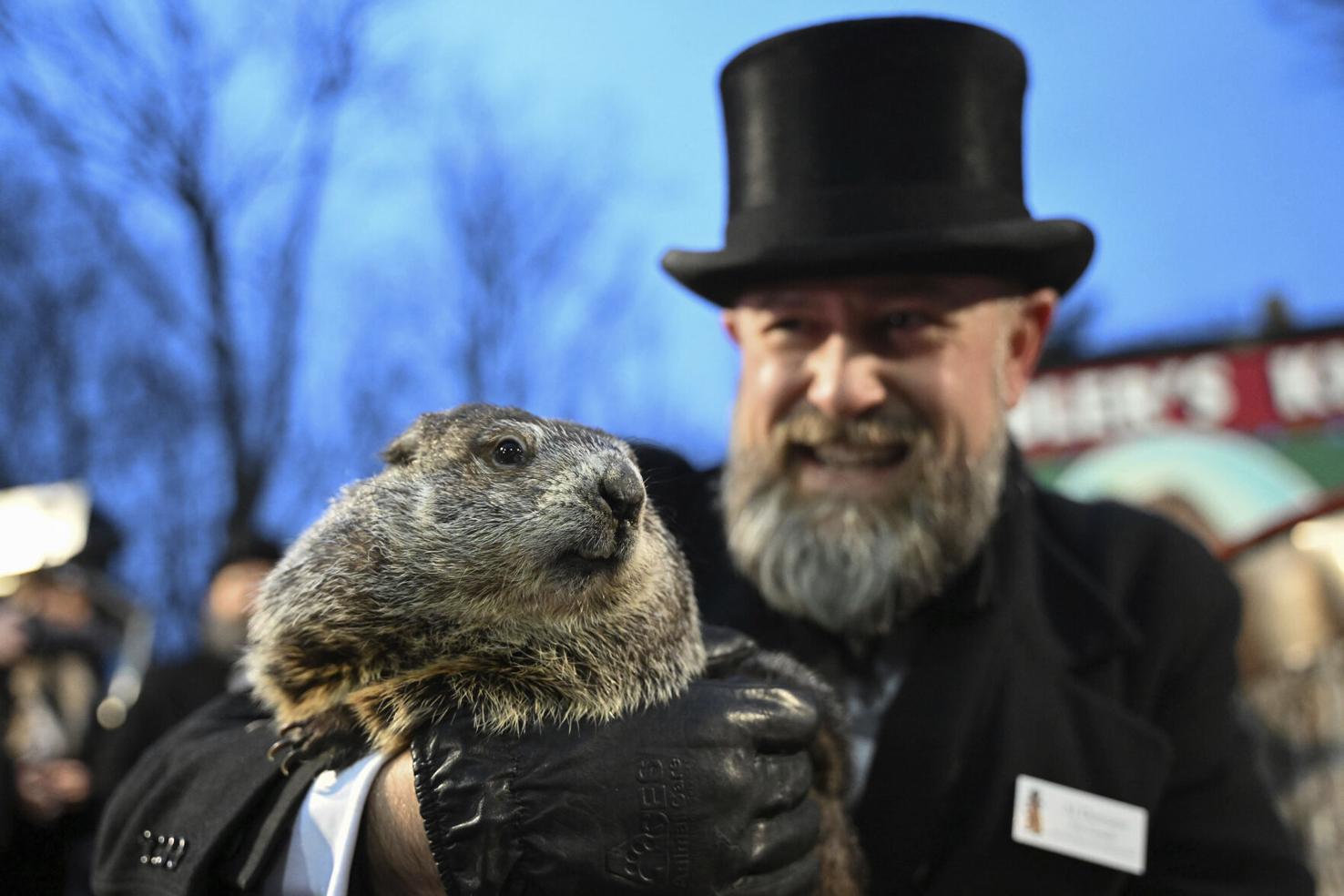 Punxsutawney Phil, wife Phyllis welcome 2 groundhog babies