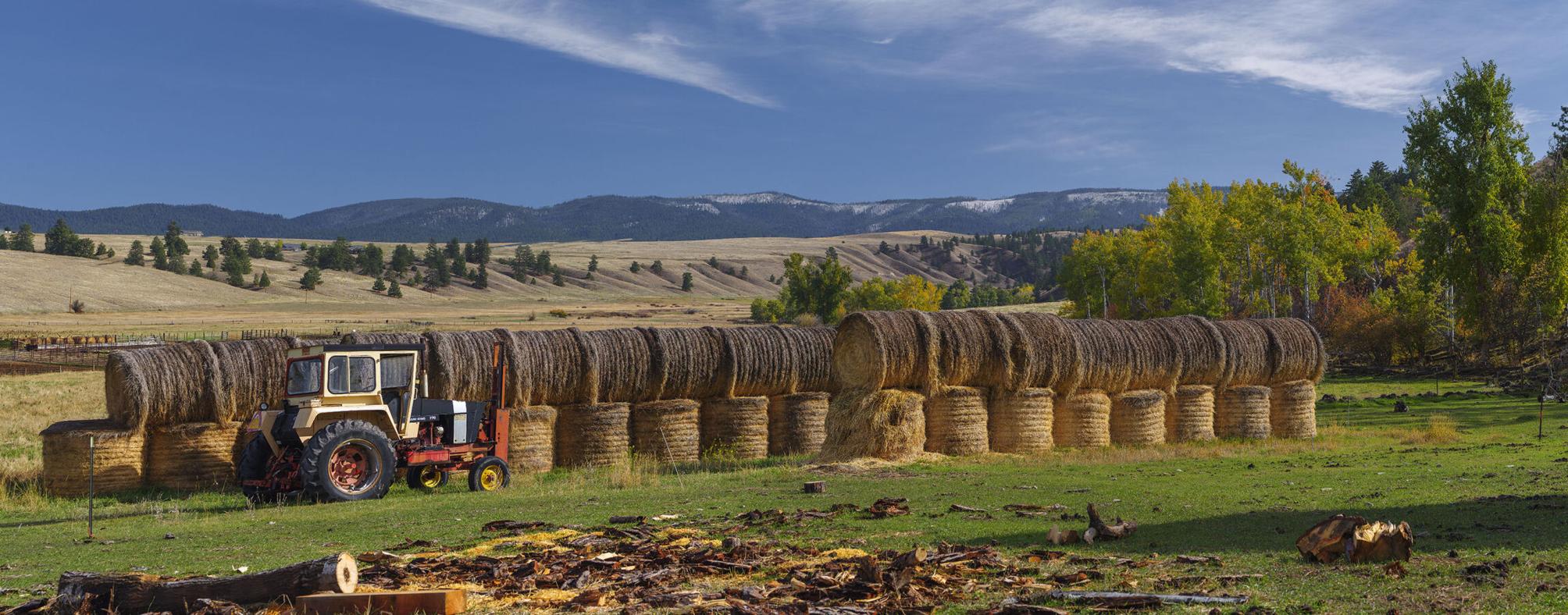 Bitterroot ranch preserved through conservation easement