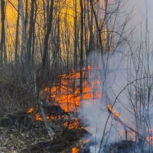 Fire danger increases in Wisconsin