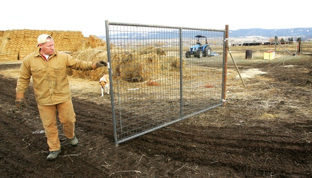 Stevensville: New fencing intended to turn elk away from haystacks