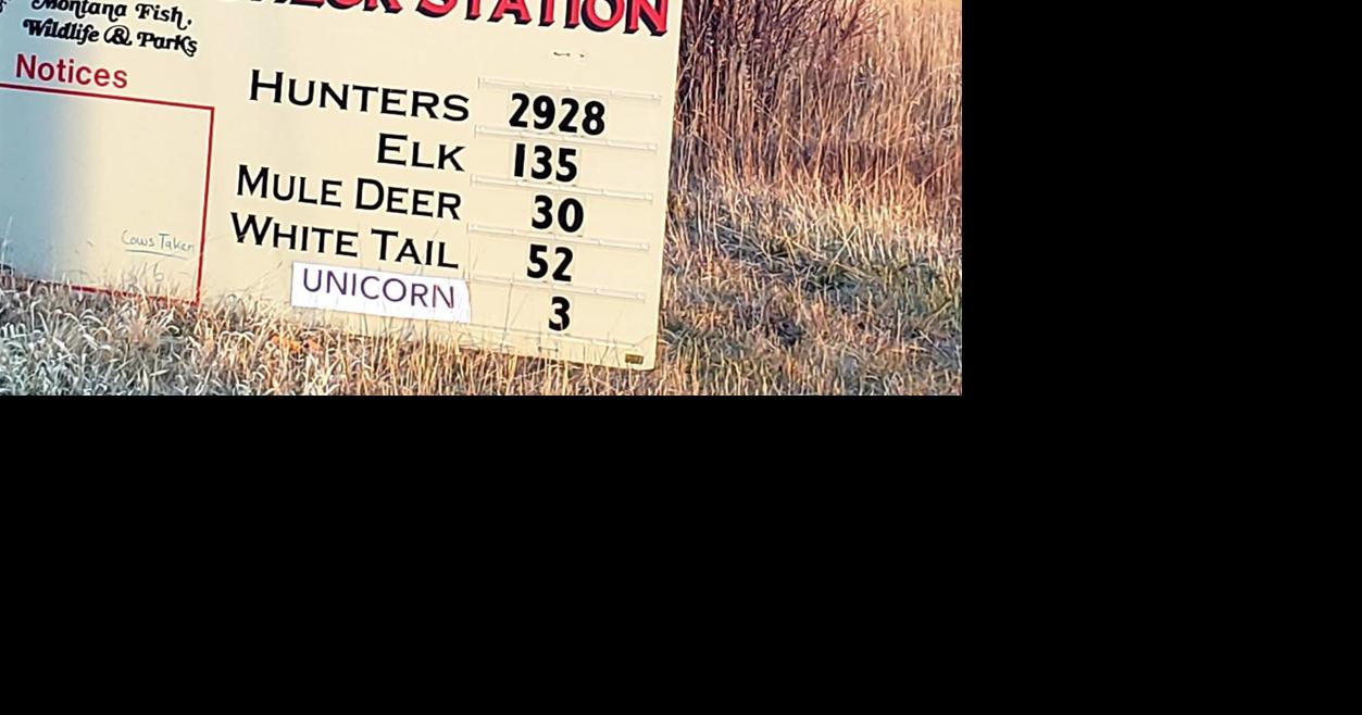 Darby hunter check station leads region in elk harvest