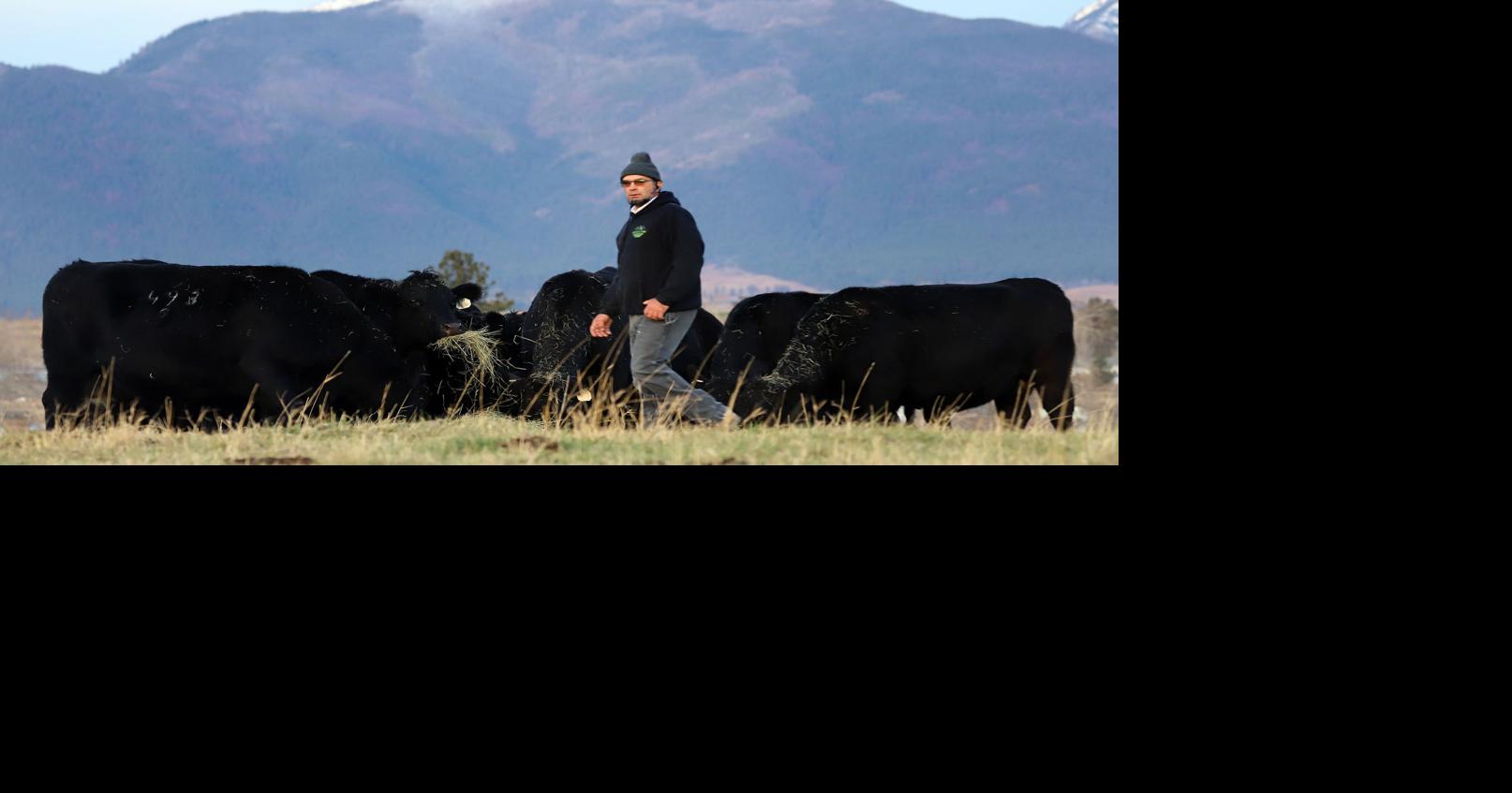 Forever preserved: Yoder family decision keeps agricultural land intact