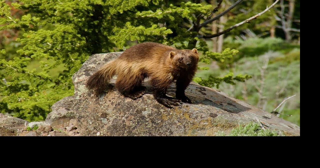 January 14 recap: Hamilton news you may have missed today