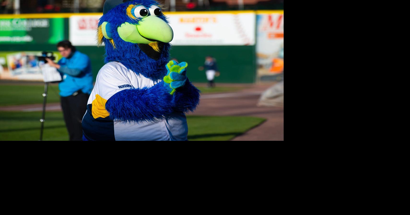 Atlantic League team forfeits game over Pride jerseys