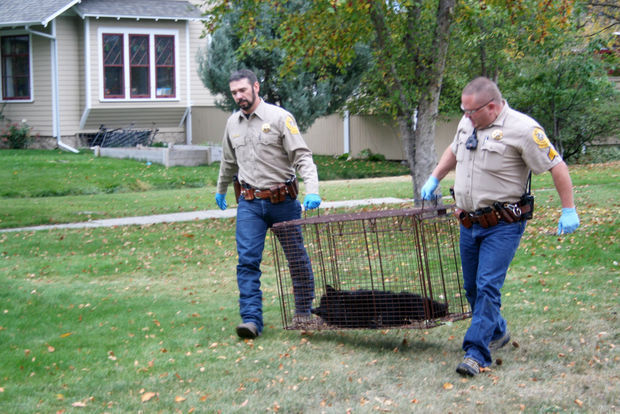 Bill Complicates Montana Game Warden Funding Puts Agency At Odds With