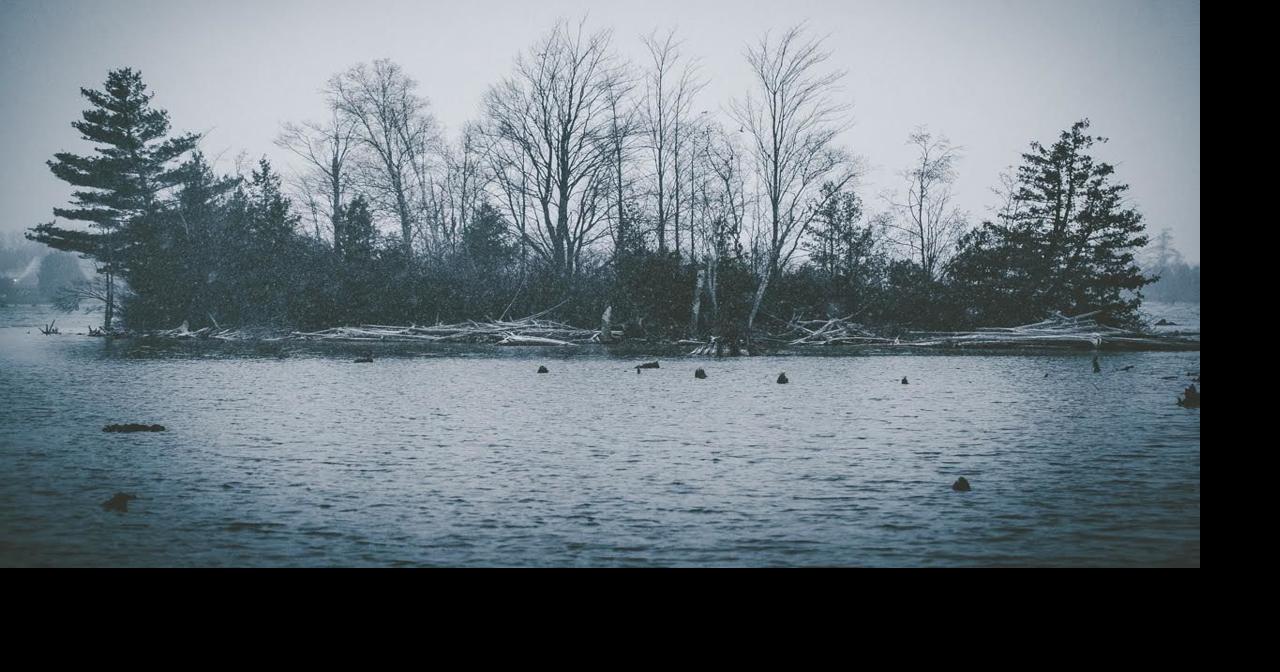 'Capturing the Light': Elk Rapids library photo contest showcases ...