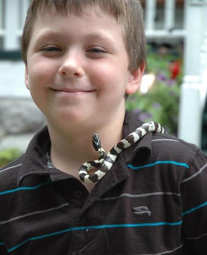 Boy finds unusual snake | Lifestyles | record-eagle.com