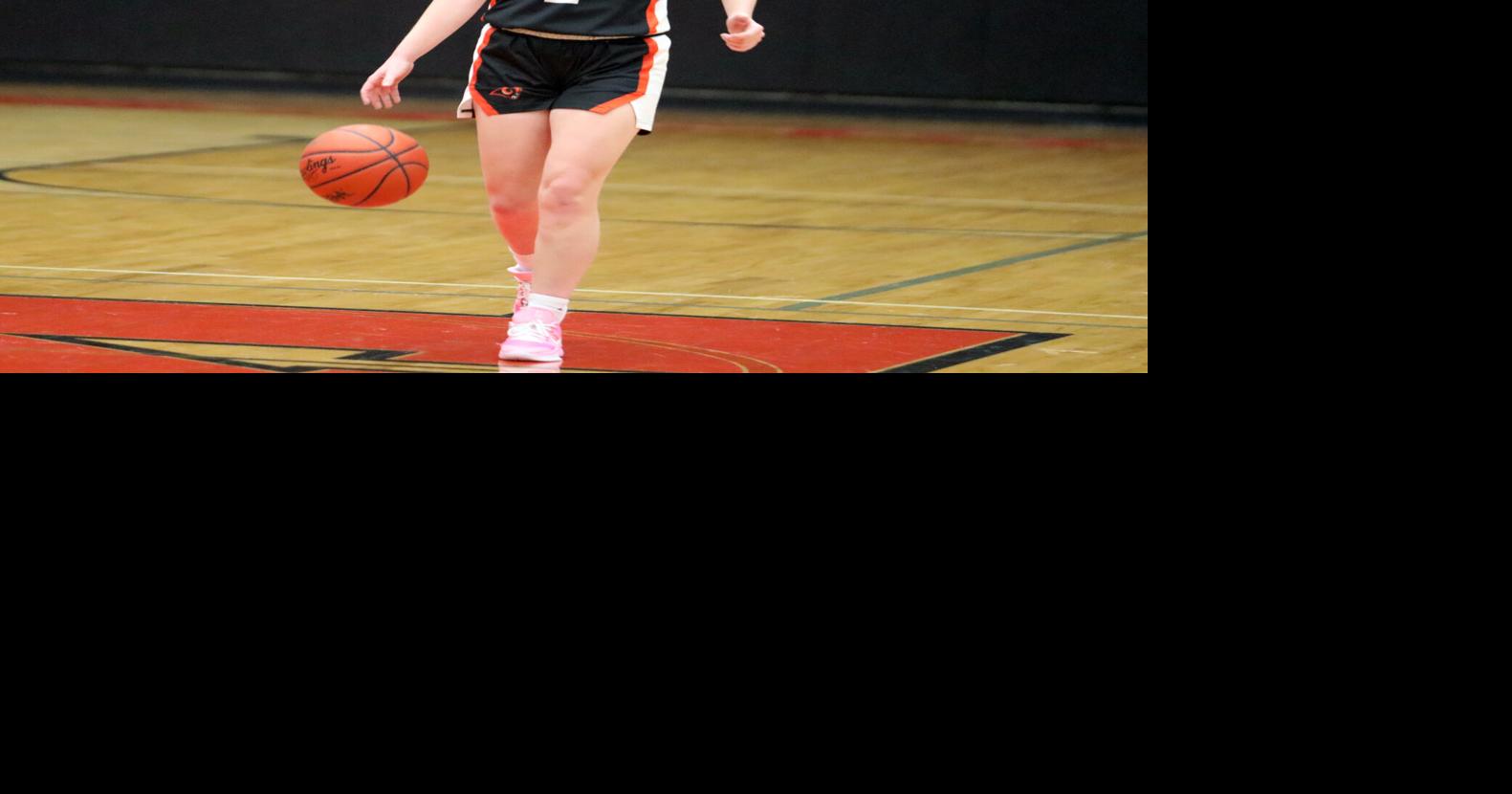 5 area teams in Michigan high school girls basketball poll | Sports ...