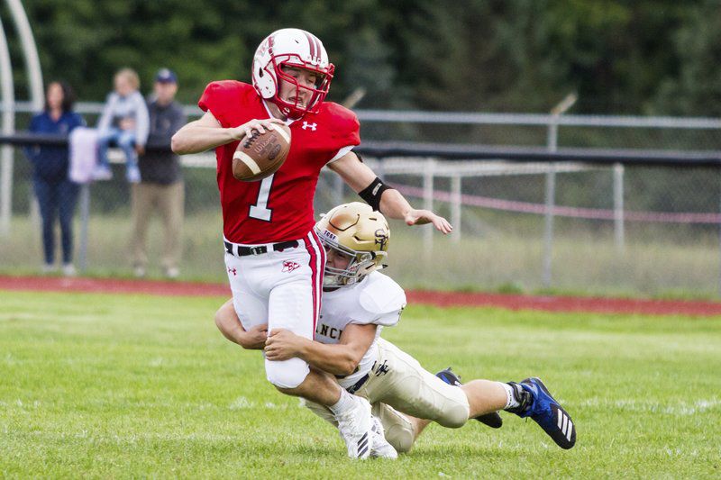Dutmers, Passinault lead St. Francis over Benzie, 55-18 | Local Sports ...