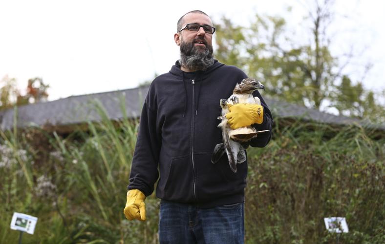 What's Happening Outside this Weekend: 06/29/2023 | GO | record-eagle.com