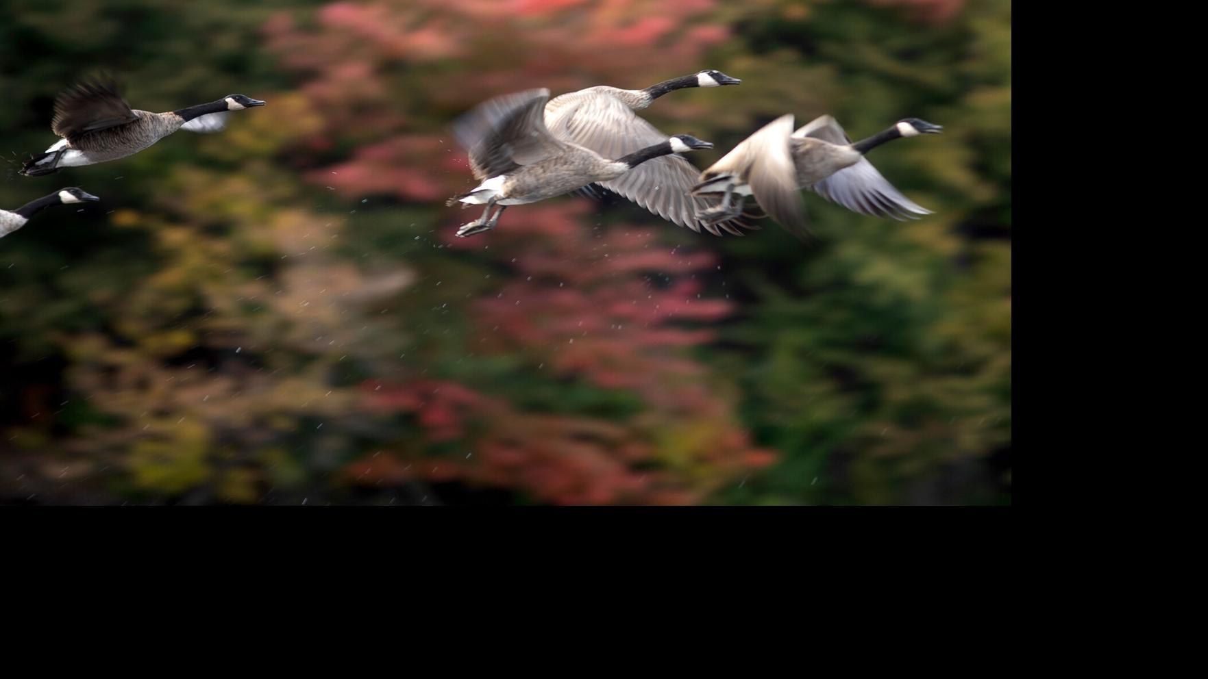 Mike Terrell: Worth the climb | GO | record-eagle.com