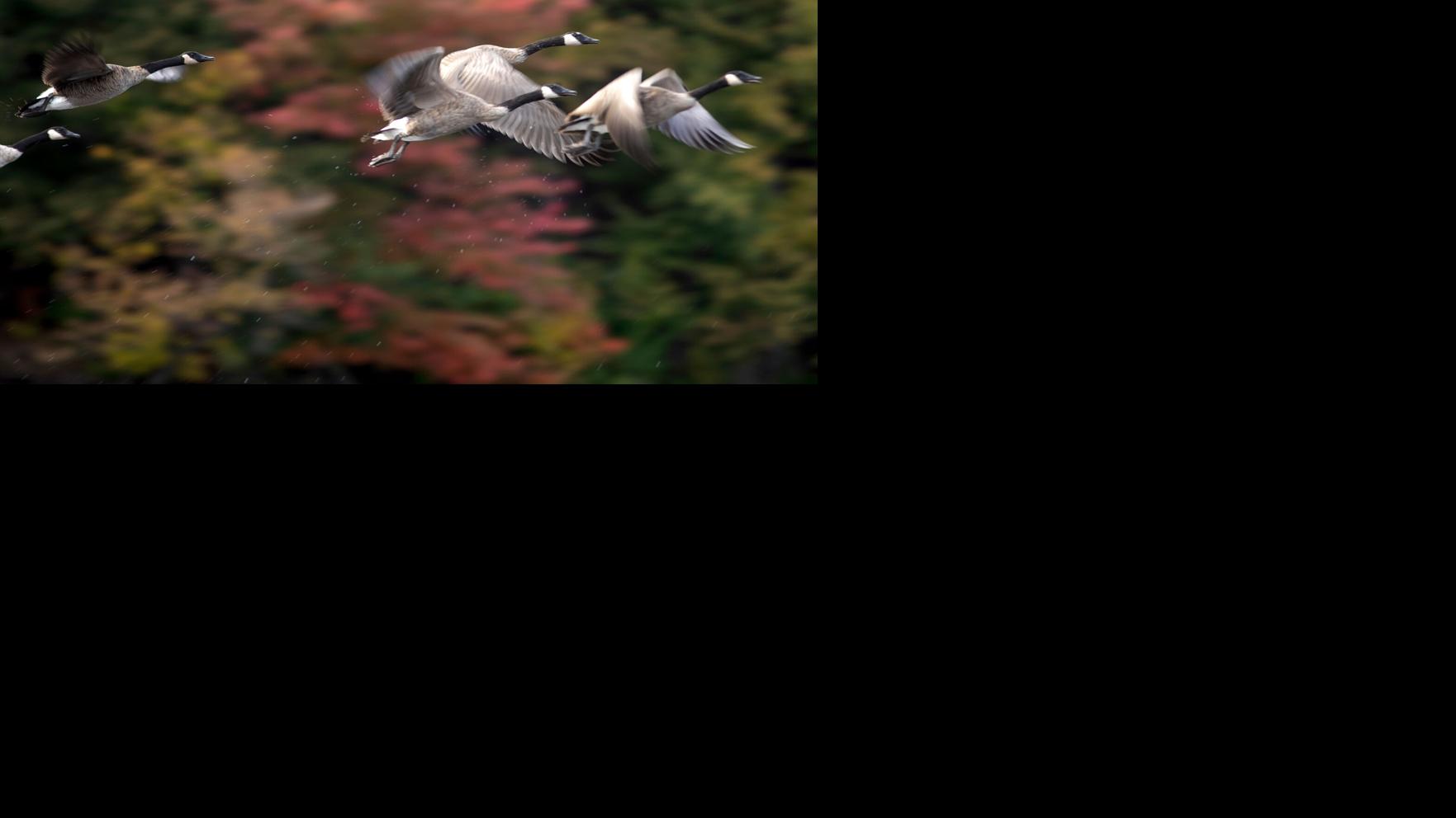 Mike Terrell: Worth the climb | GO | record-eagle.com