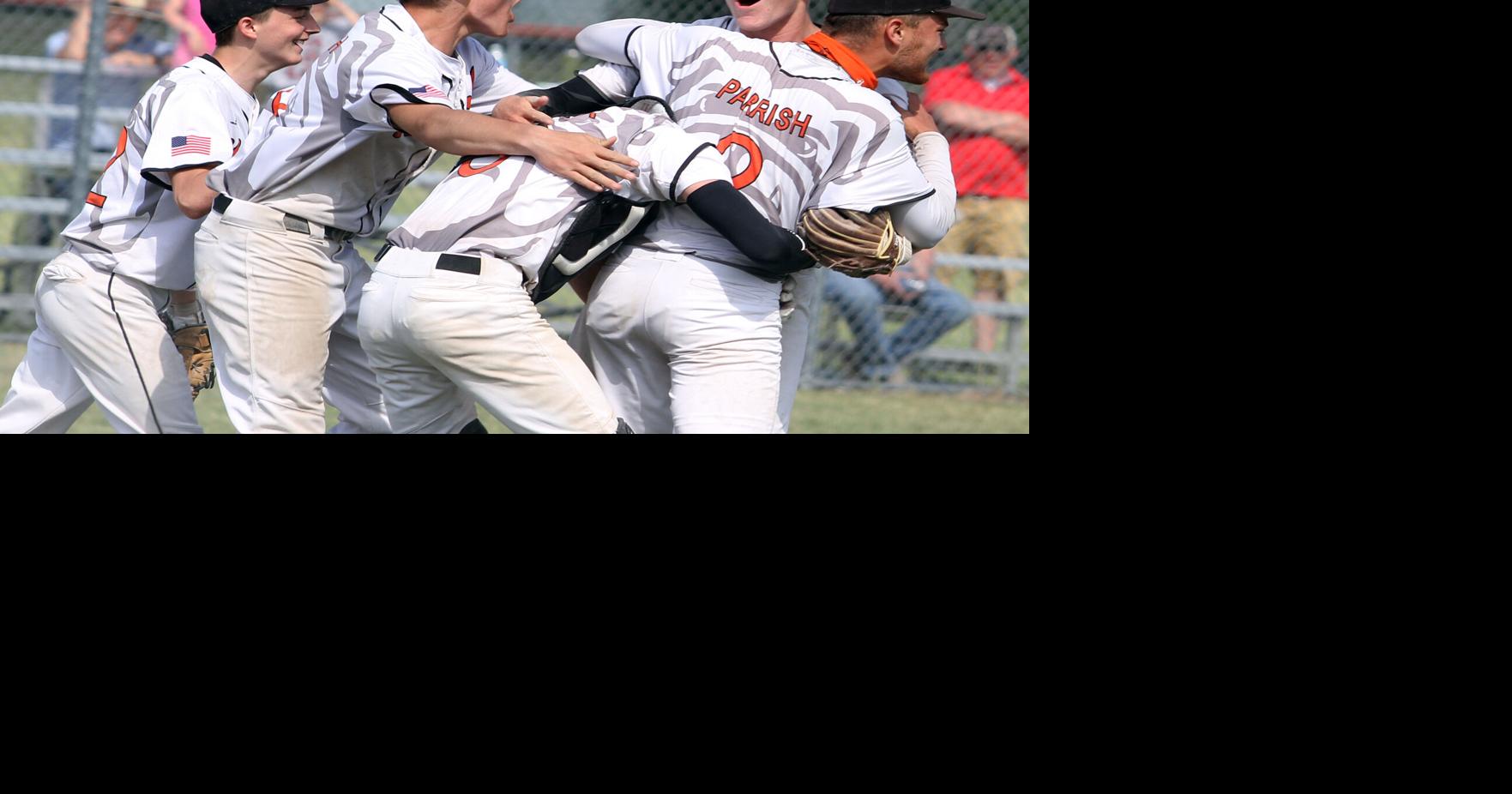 Baseball district roundup: Mesick captures crown for first time since ...