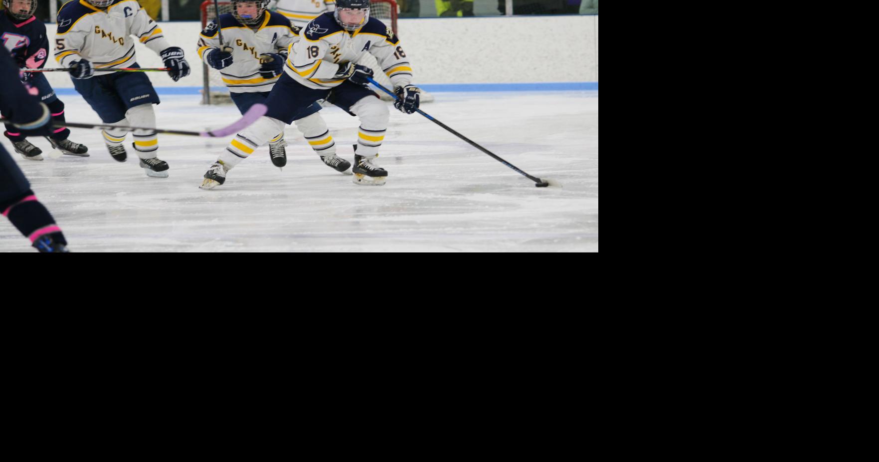 Gaylord hockey mercied in state quarterfinal loss | Sports | record ...